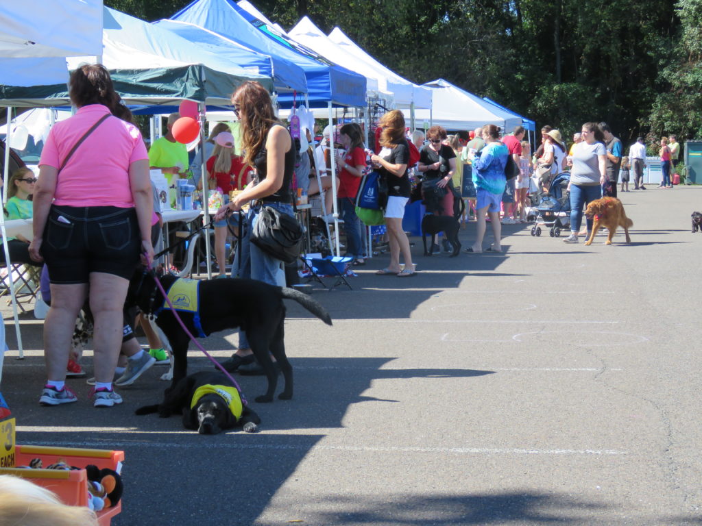 Newtown Vet Pet Fair